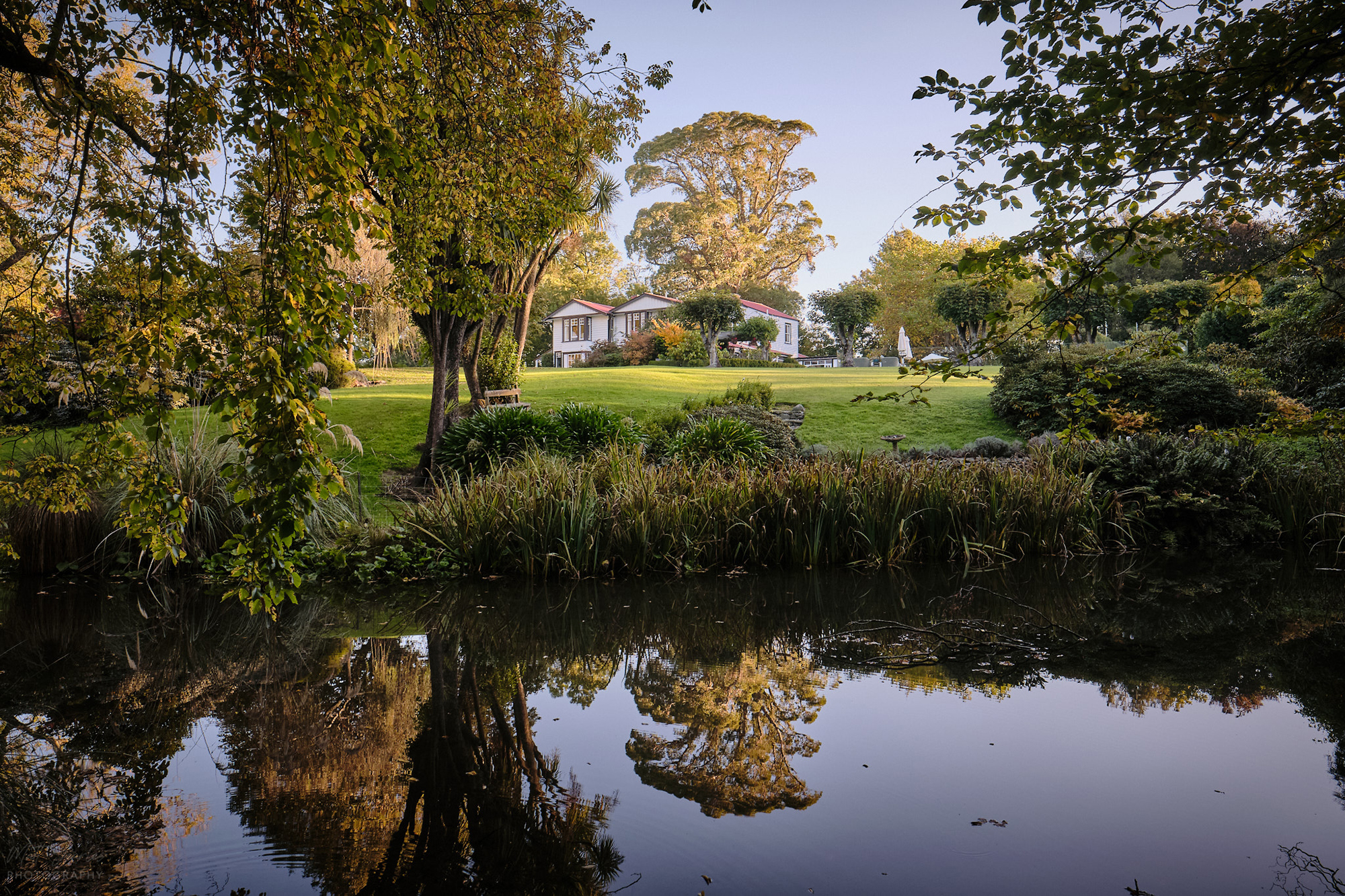 About - Peel Forest Estate